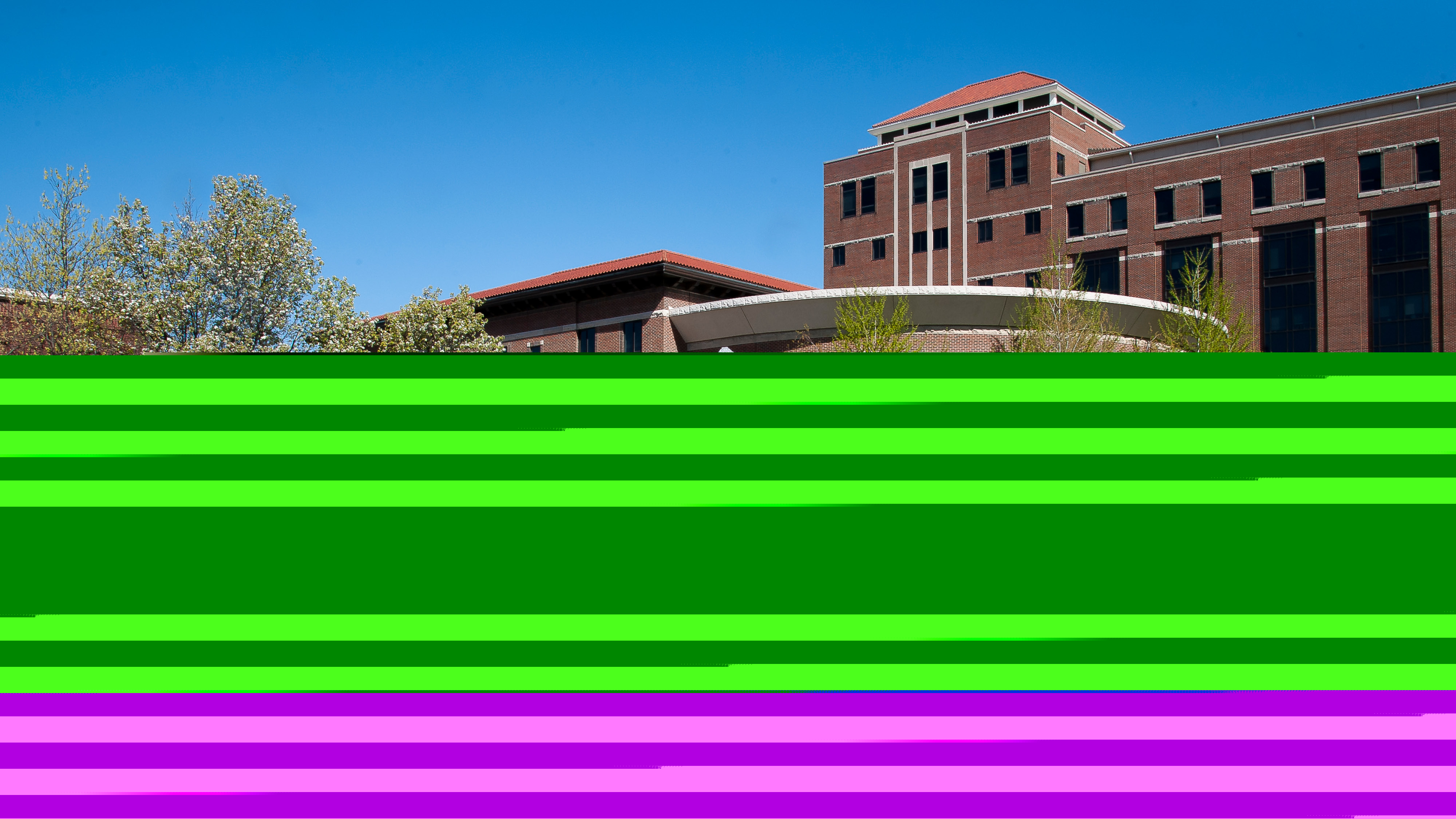 May 2020 Commencement - Commencement 2020 - Purdue University