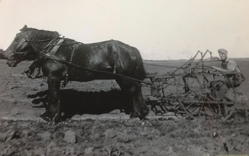 Chair Corner with Laurie Hitze - CSSAC - Purdue University