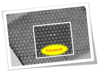 Appenzeller Research Group