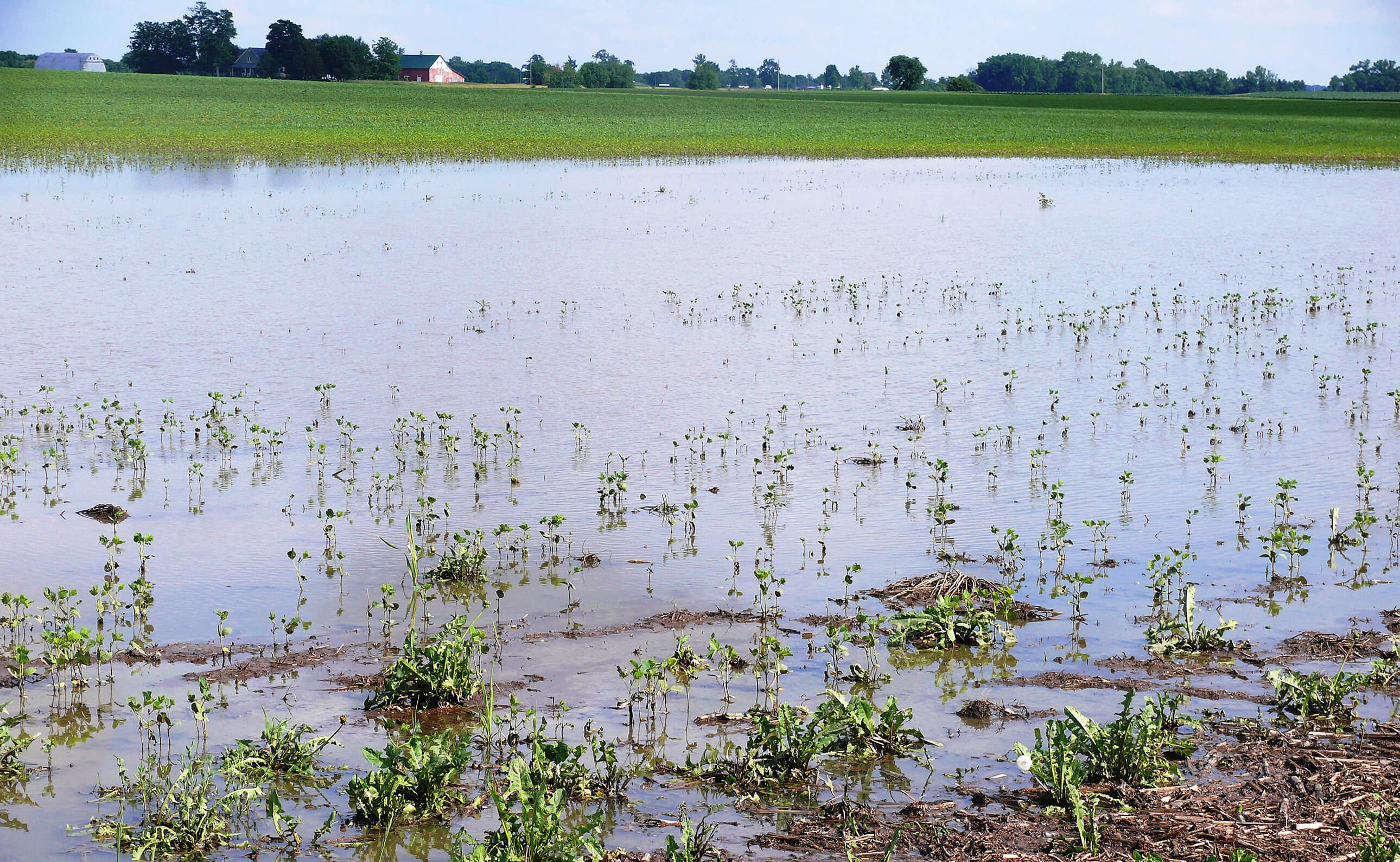 USDA Designates Three Indiana Counties as Primary Natural Disaster ...
