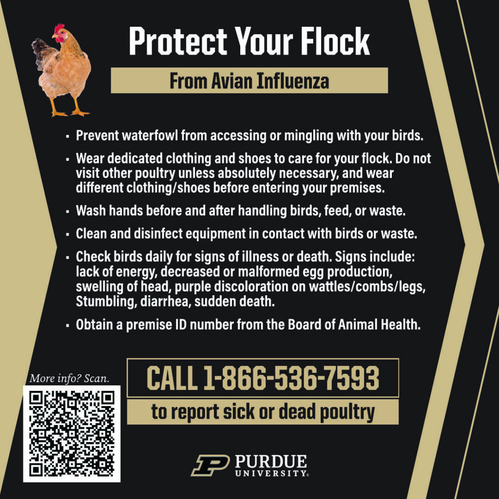 Avian Influenza – INPREP- INdiana PREPared