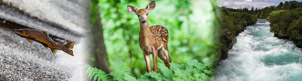 Purdue Extension Forestry & Natural Resources