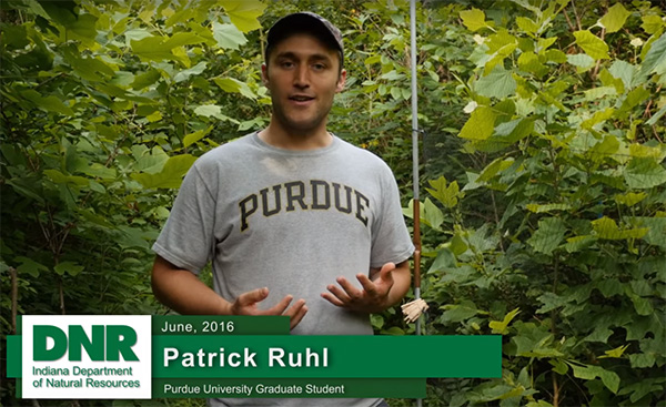 New IDNR Video – Indiana’s Working Forests | Purdue Extension Forestry ...
