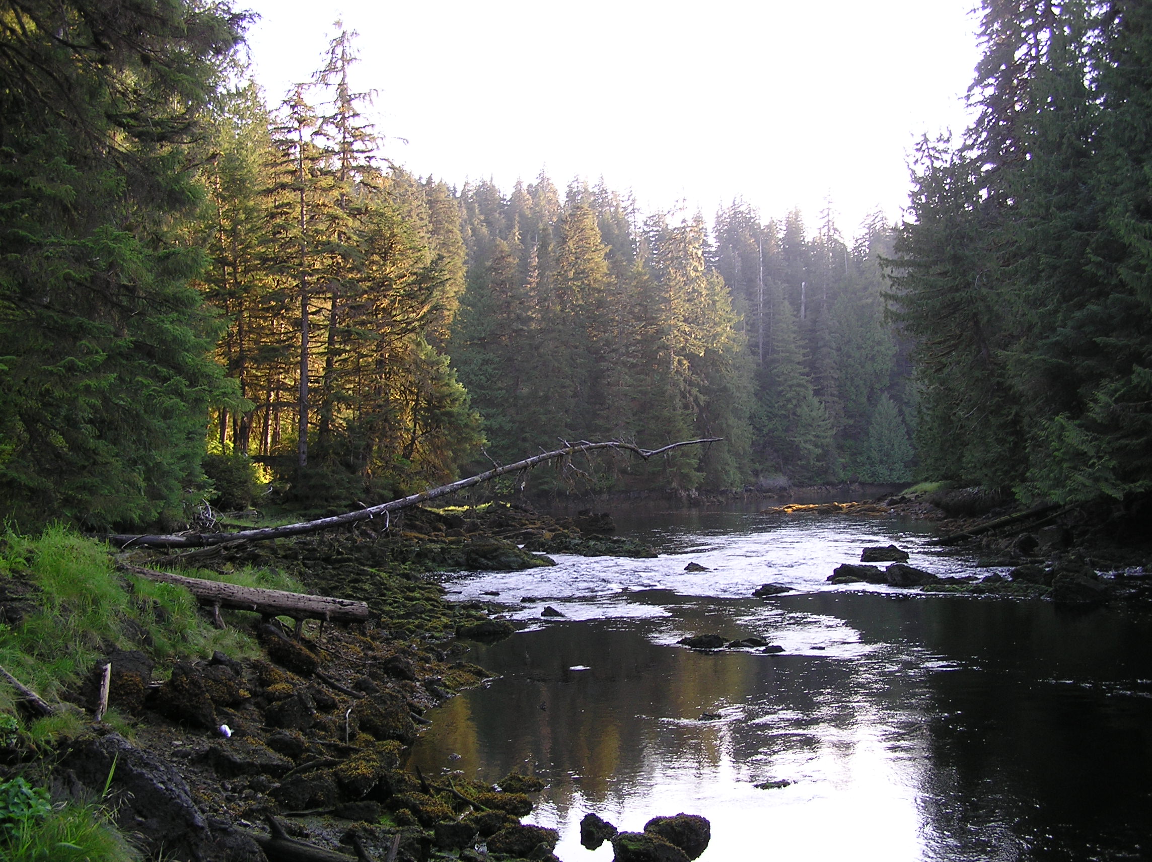 GOT NATURE? BLOG | Purdue Extension Forestry & Natural Resources