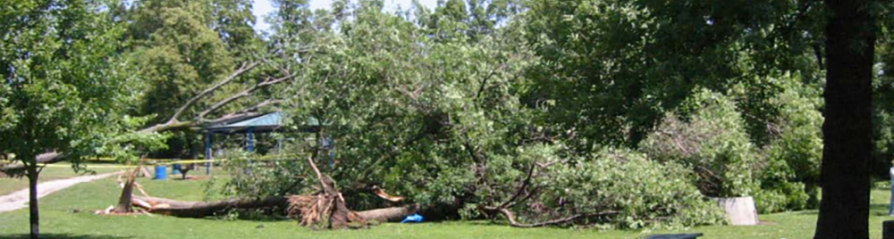 Purdue Extension-Forestry and Natural Resources Purdue Extension ...