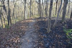 Effective Firebreaks for Safe Use of Prescribed Fire | Purdue Extension ...