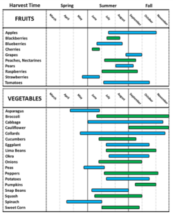 Farm for a Day—Pick Your Own Fruits and Vegetables | Purdue Extension ...