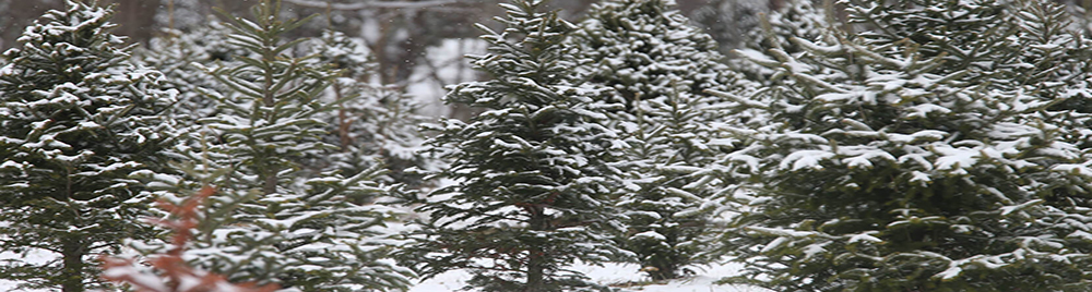 Purdue Extension Forestry & Natural Resources