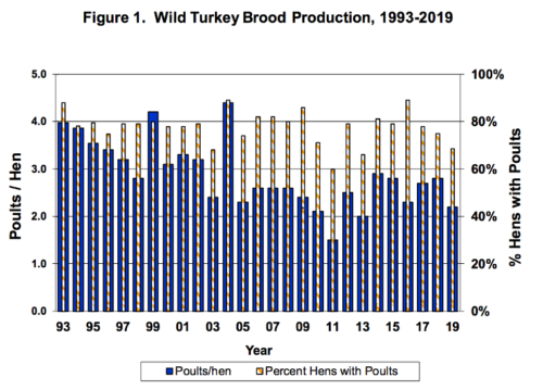 Four Simple Steps, Help Indiana DNR Estimate Wild Turkey Populations
