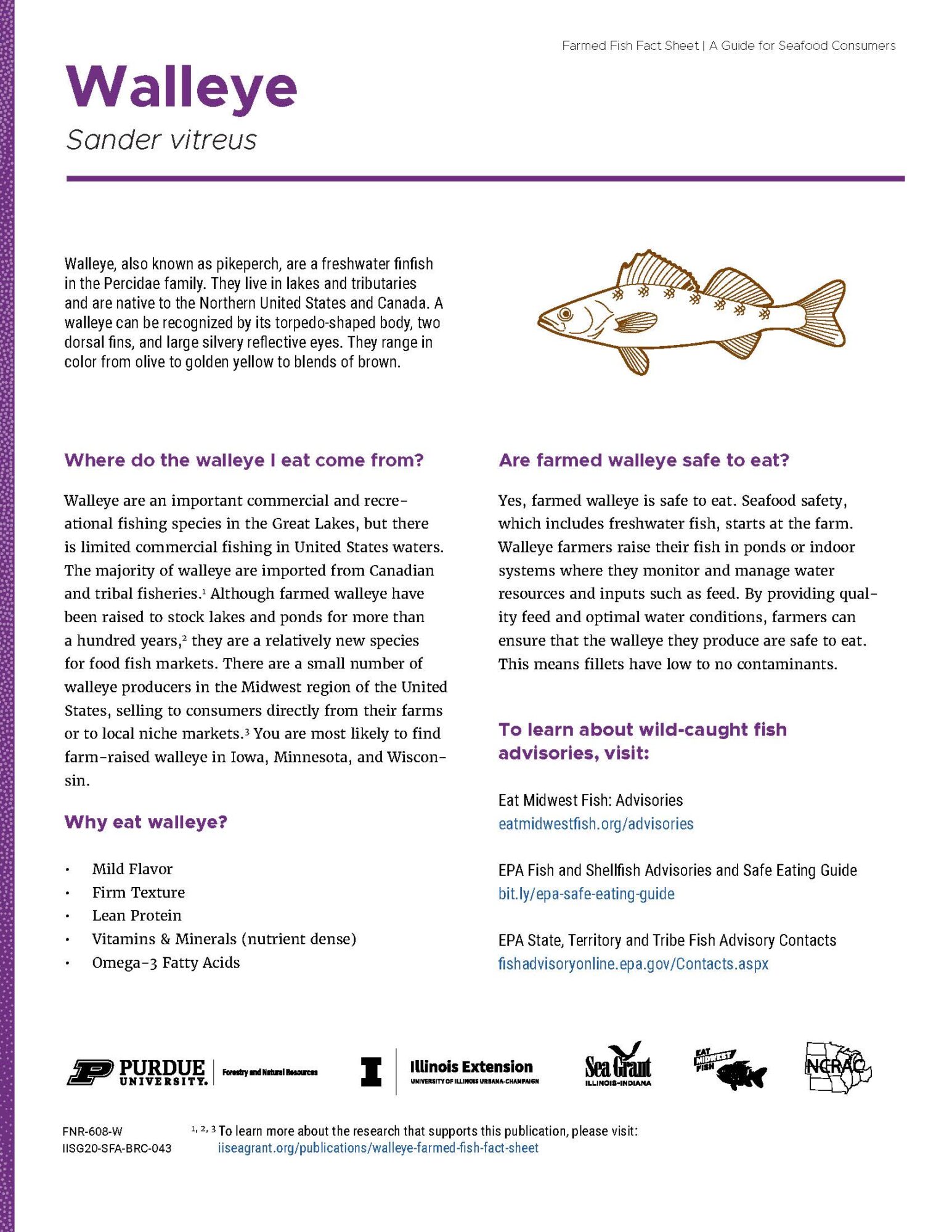 Walleye Farmed Fish Fact Sheet: A Guide for Seafood Consumers | Purdue ...