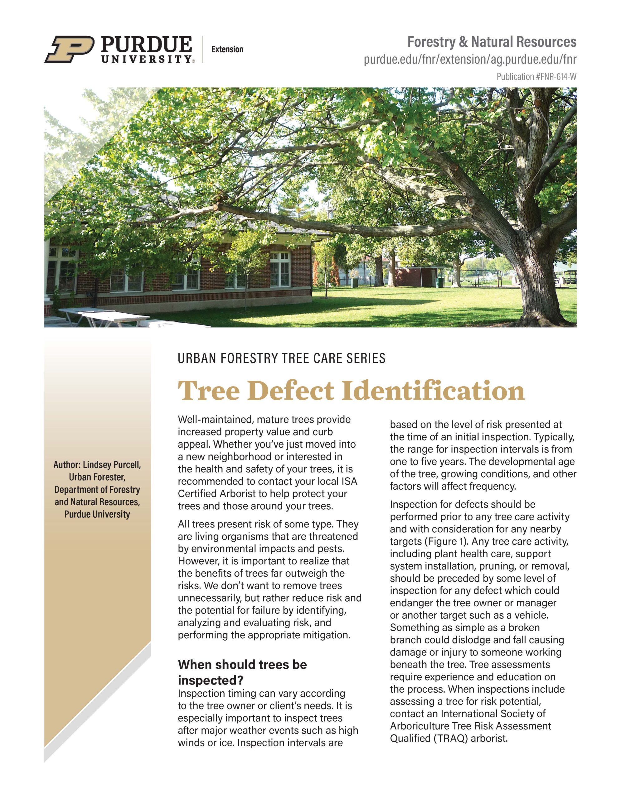 Tree Defect Identification | Purdue Extension Forestry & Natural Resources