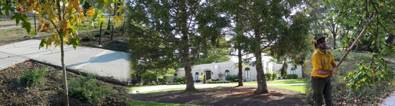 Purdue Extension-Forestry and Natural Resources