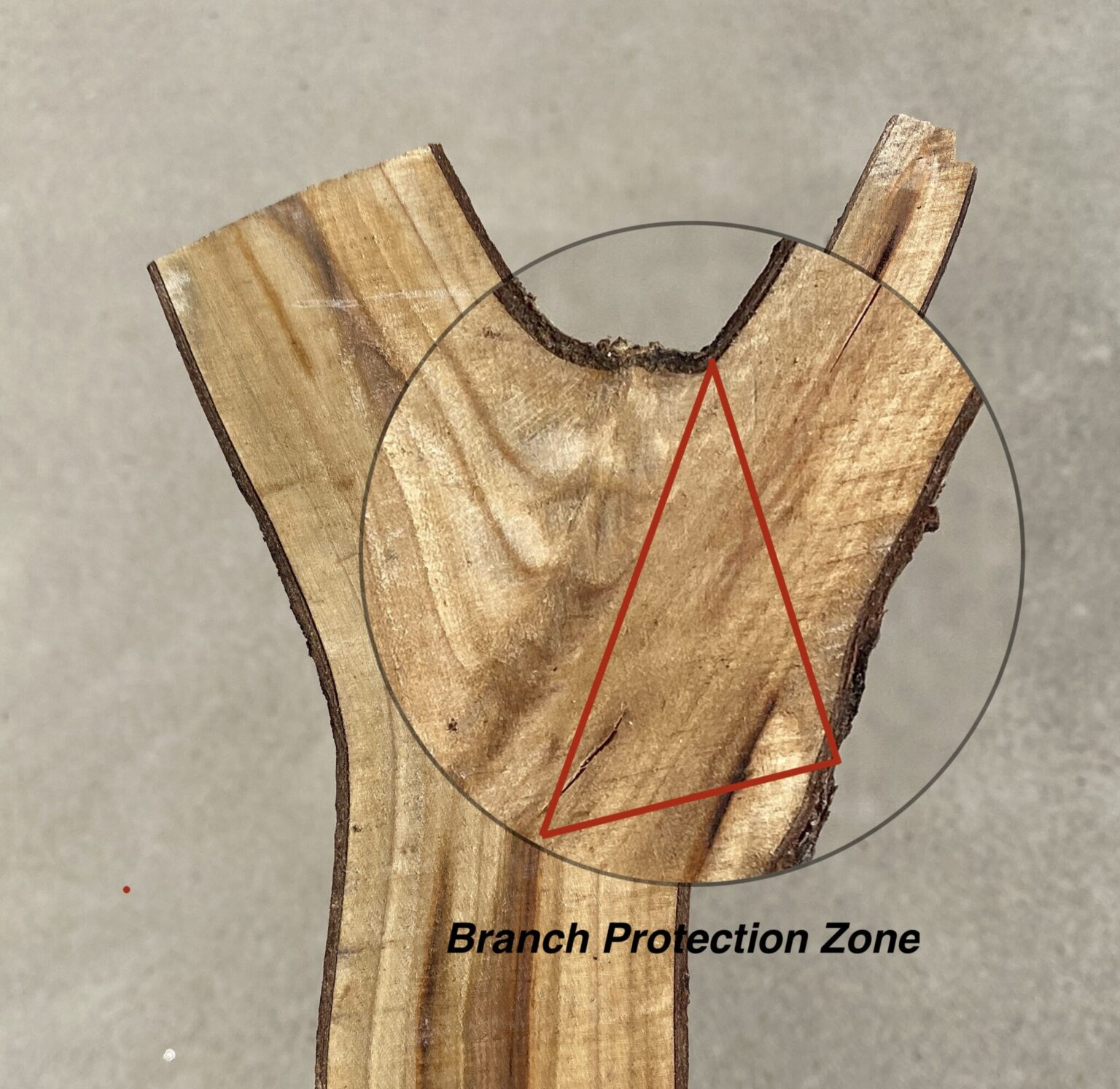 Purdue Landscape Report: Branch Component Identification for Better ...