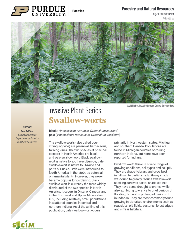 Publication – Invasive Plant Series: Swallow-worts