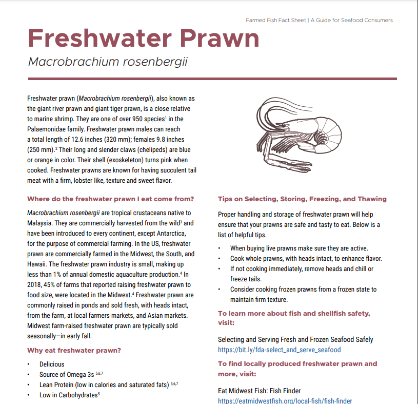 Publication- Freshwater Prawn Farmed Fish Fact Sheet