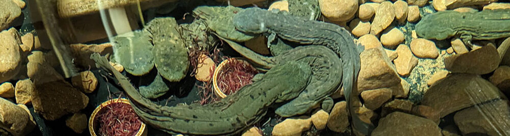 Purdue Extension-Forestry and Natural Resources Purdue Extension ...