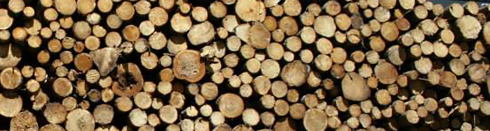 Purdue Extension-Forestry and Natural Resources Purdue Extension ...