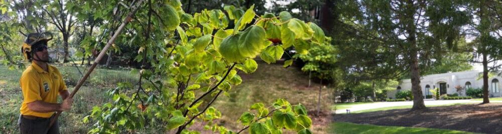 Purdue Extension-Forestry and Natural Resources Purdue Extension ...