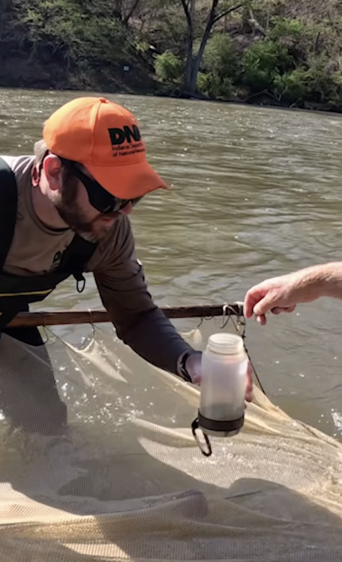 Conservationists Unite for Snuffbox Mussels – Wild Bulletin