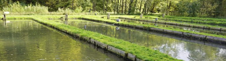 Purdue Extension-Forestry and Natural Resources Purdue Extension ...