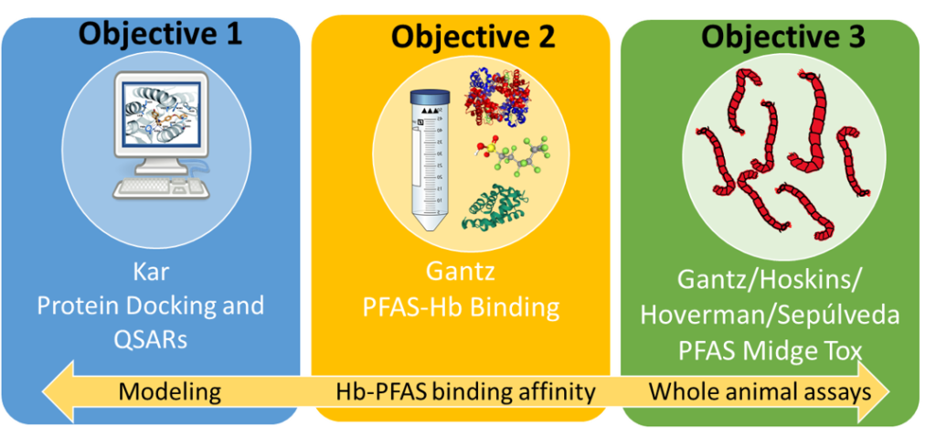 Modeling of PFAS – The Sepúlveda Lab