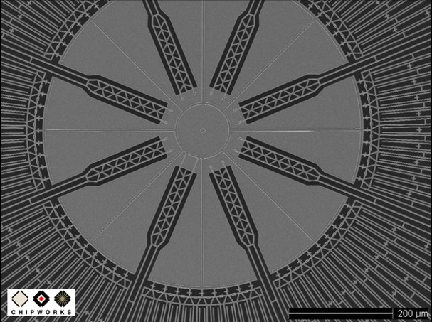 Coriolis Vibrational Gyroscope | ME 274: Basic Mechanics II