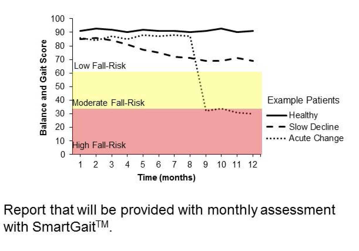 Development of a gait and balance assessment device, SmartGait™