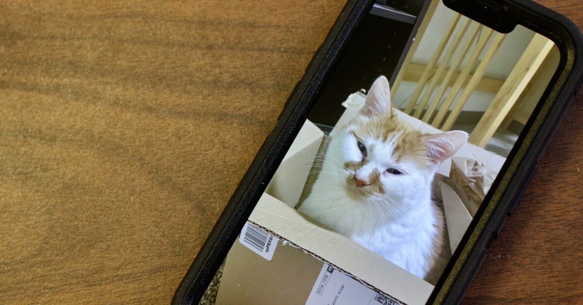 Purdue Psychological Sciences researcher explores brain's reaction to ...