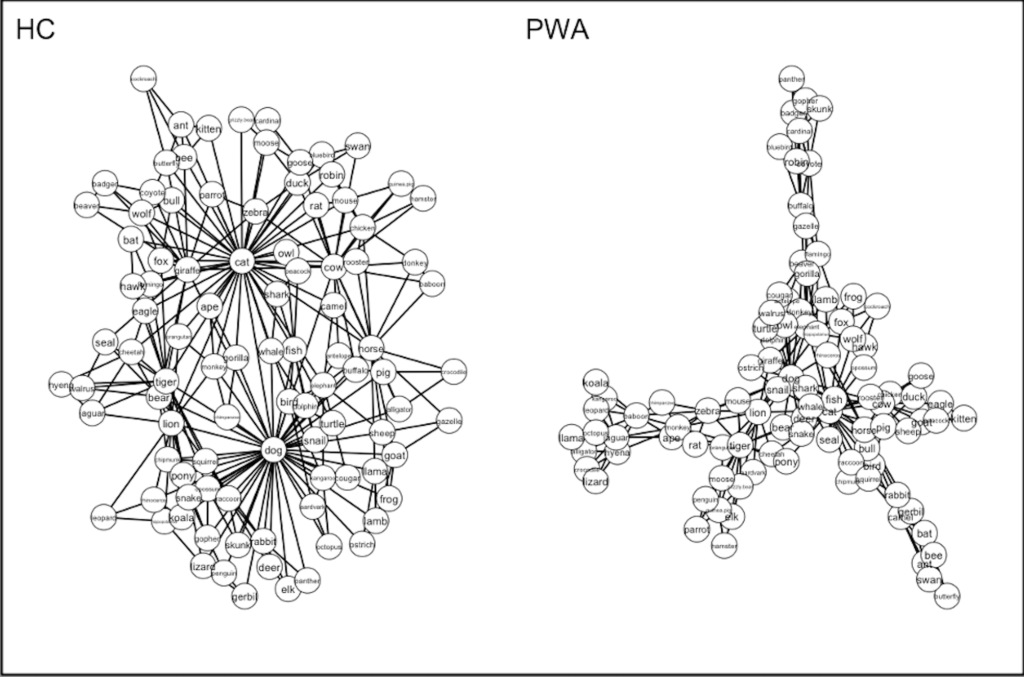 Projects – Aphasia Recovery Lab