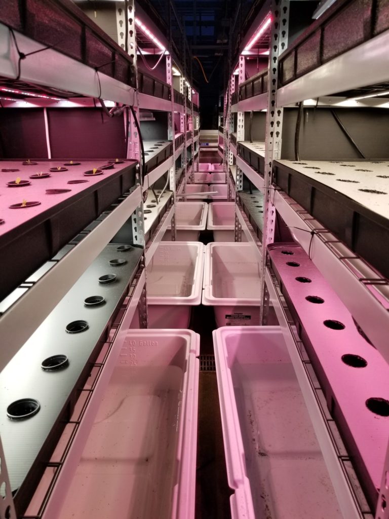 Vertical farming for beginner growers | Purdue University Controlled ...