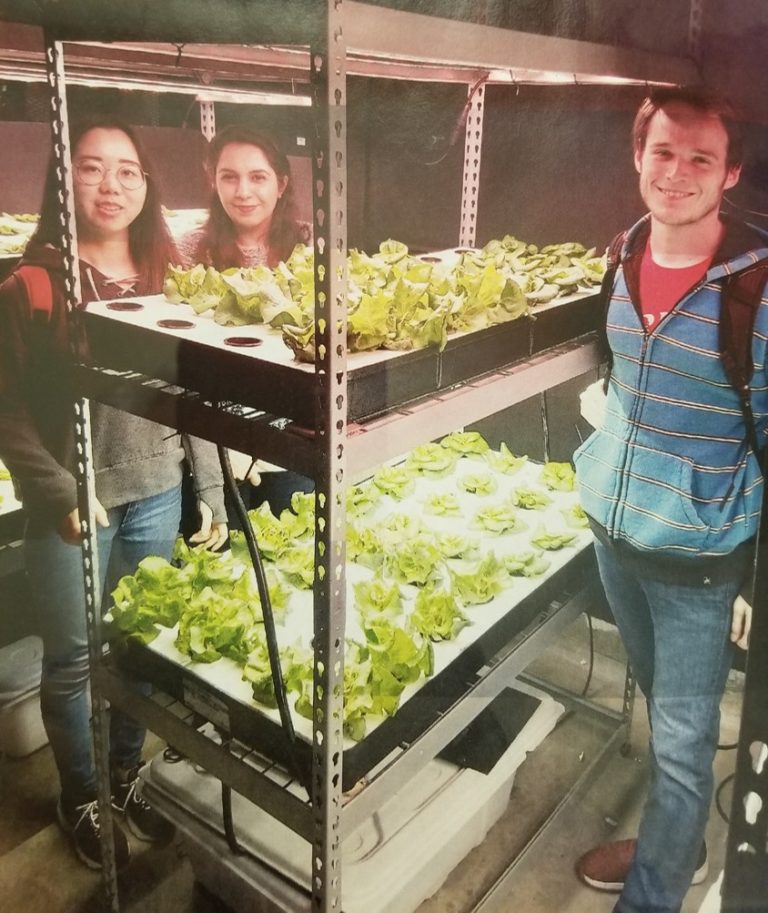 Teaching | Purdue University Controlled Environment Agriculture (NEMALI ...