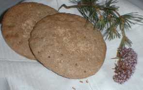 Pinus silvestris | Purdue University Famine Foods