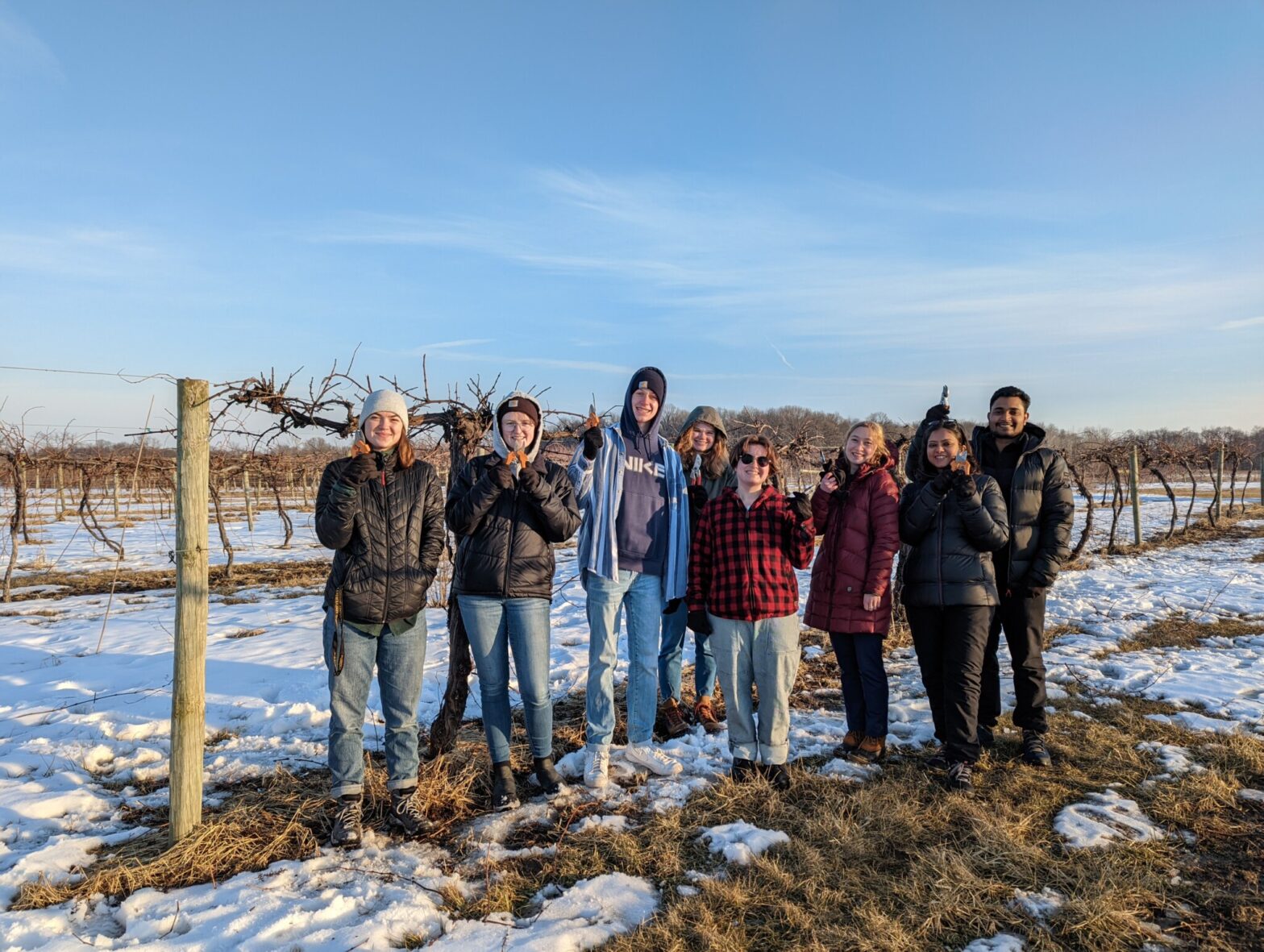 Purdue Student Farm Organization Pruned Grapes at Meigs | Purdue ...
