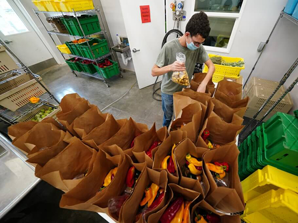 The Purdue Student Farm adapts during COVID-19 | Purdue University HLA ...