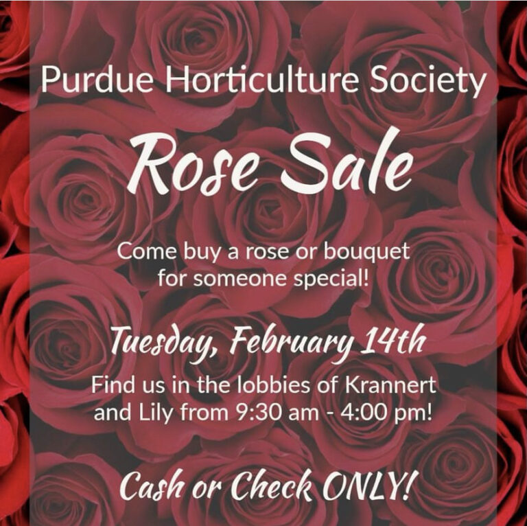 Purdue Horticulture Society Rose Sale | Purdue University HLA Happenings