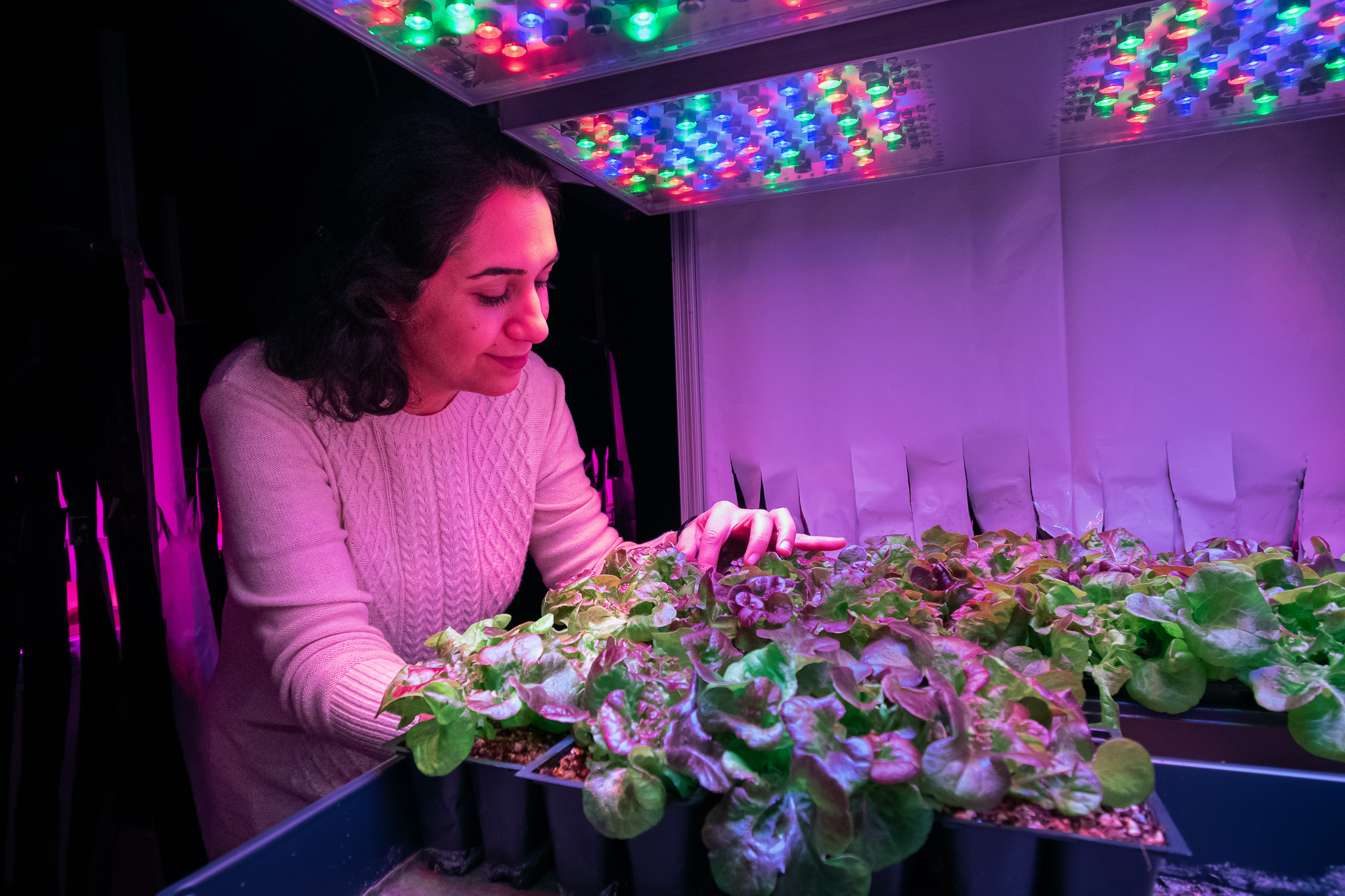 Dr. Cary Mitchell and Fatemeh Sheibani’s Research Featured in Purdue ...