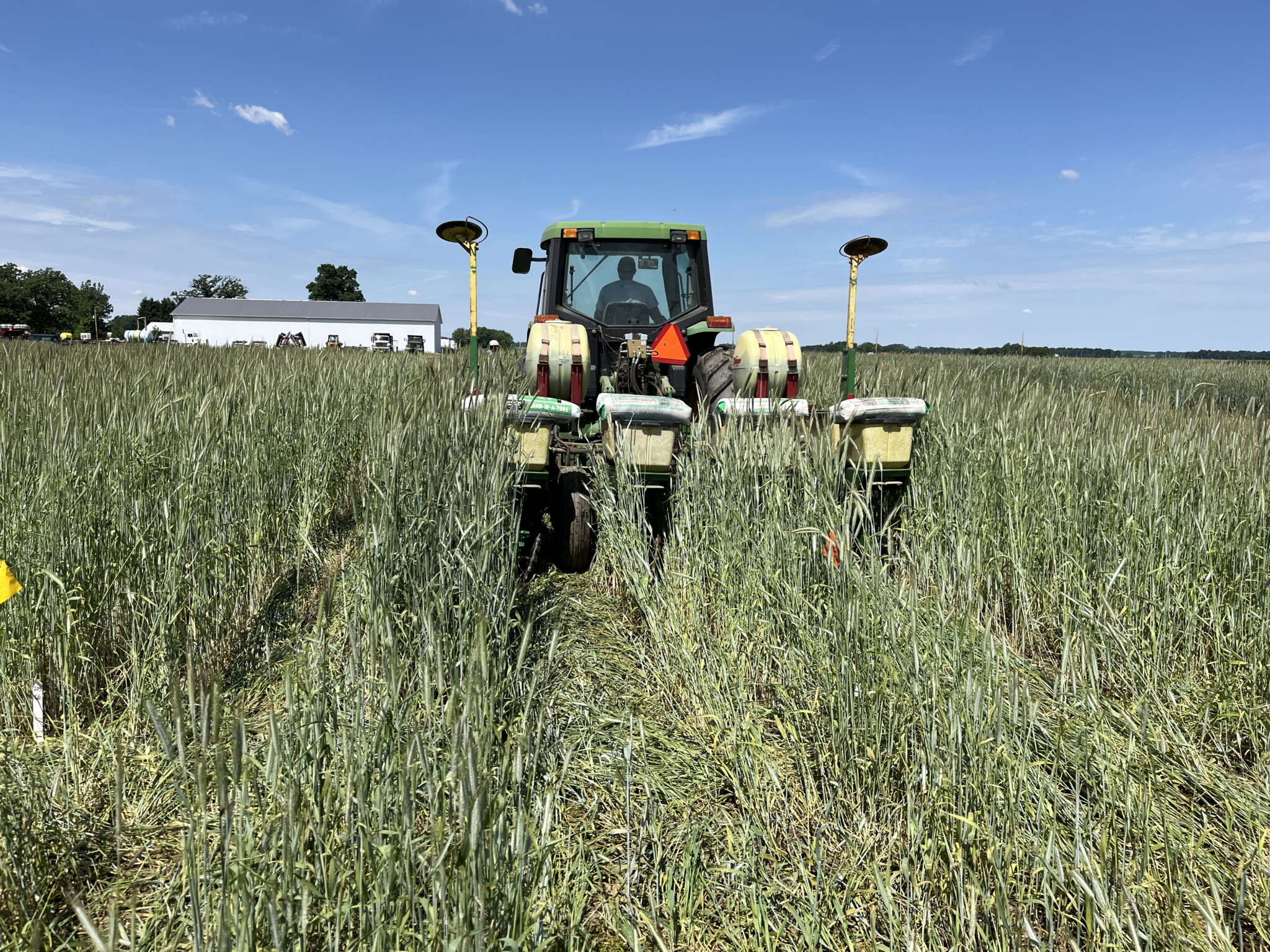 Liz Maynard is co-PI on AgSEED Project | Purdue University HLA Happenings