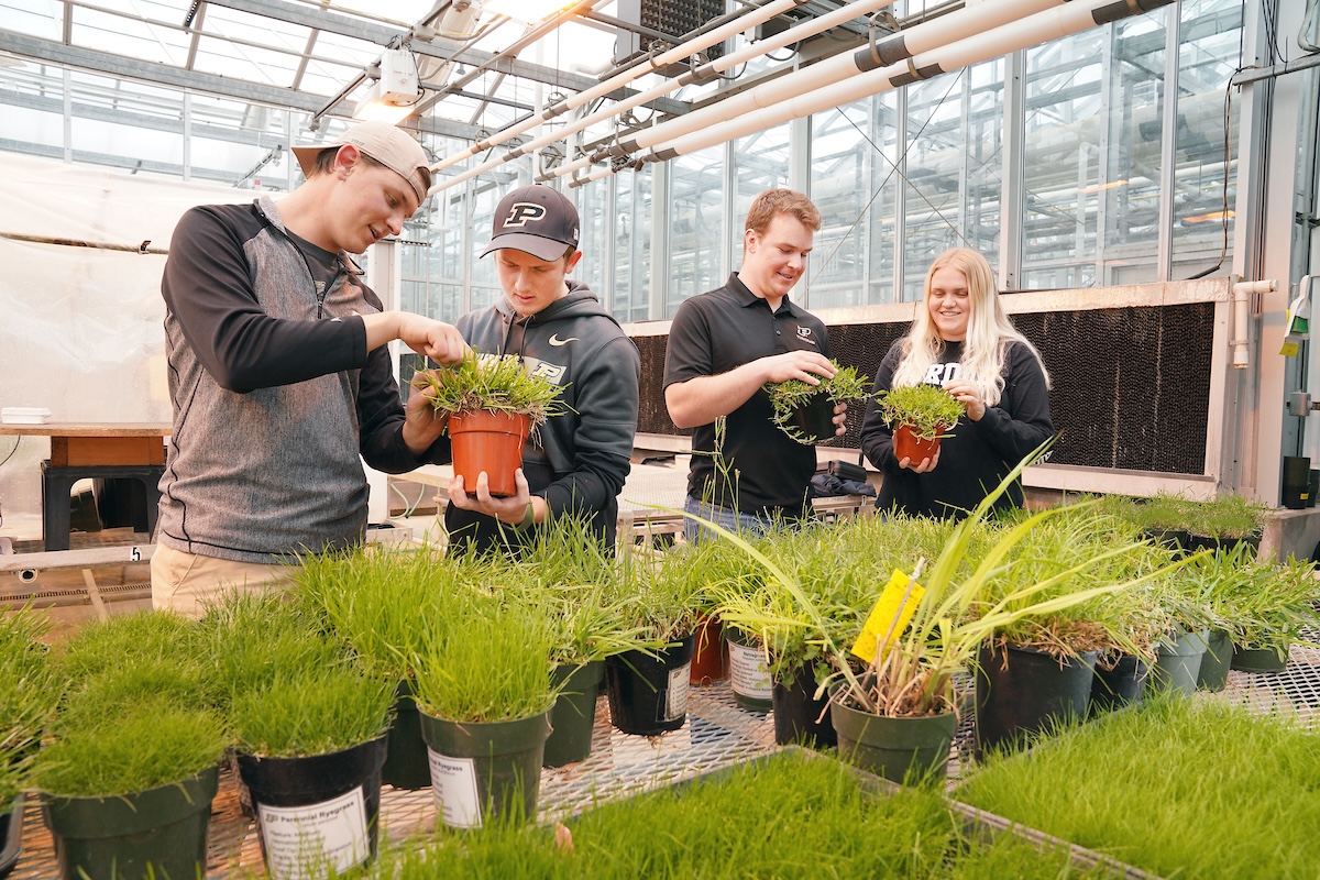 Purdue Turf Program Featured in SportsField Management | Purdue ...