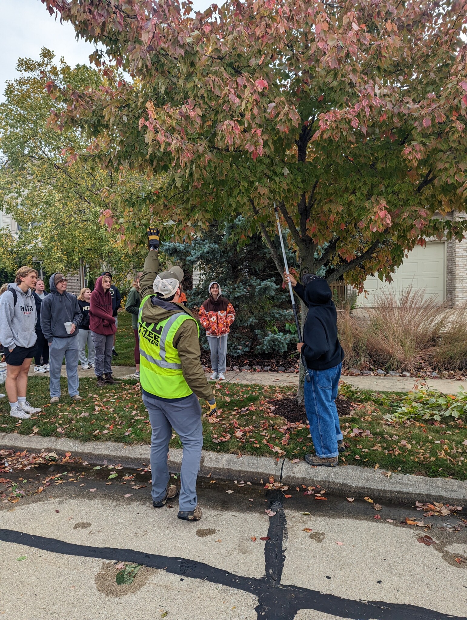 HORT 317 Students Gain Insights on Tree Pruning | Purdue University HLA ...