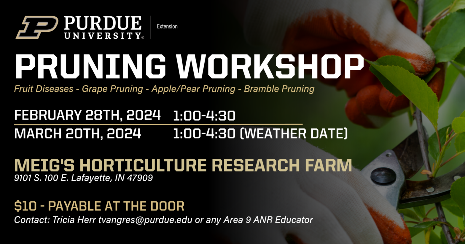Fruit Pruning Workshop | Purdue University HLA Happenings