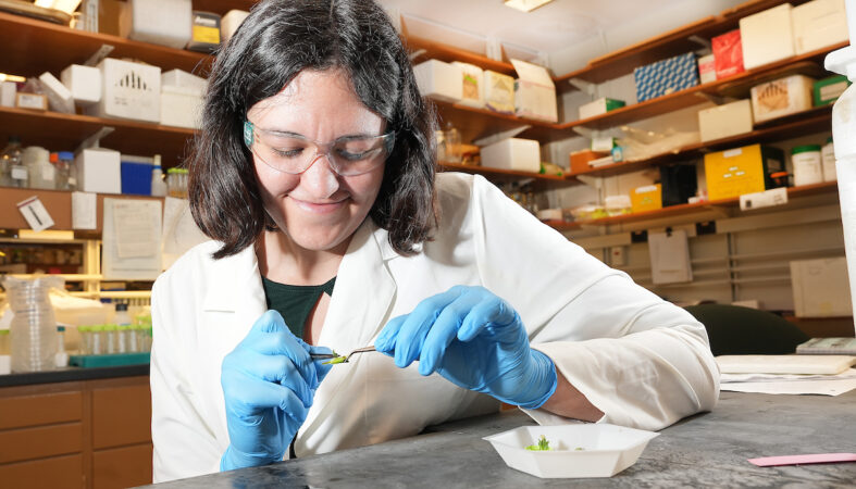 Dudareva Lab Featured in Purdue Ag Story | Purdue University HLA Happenings