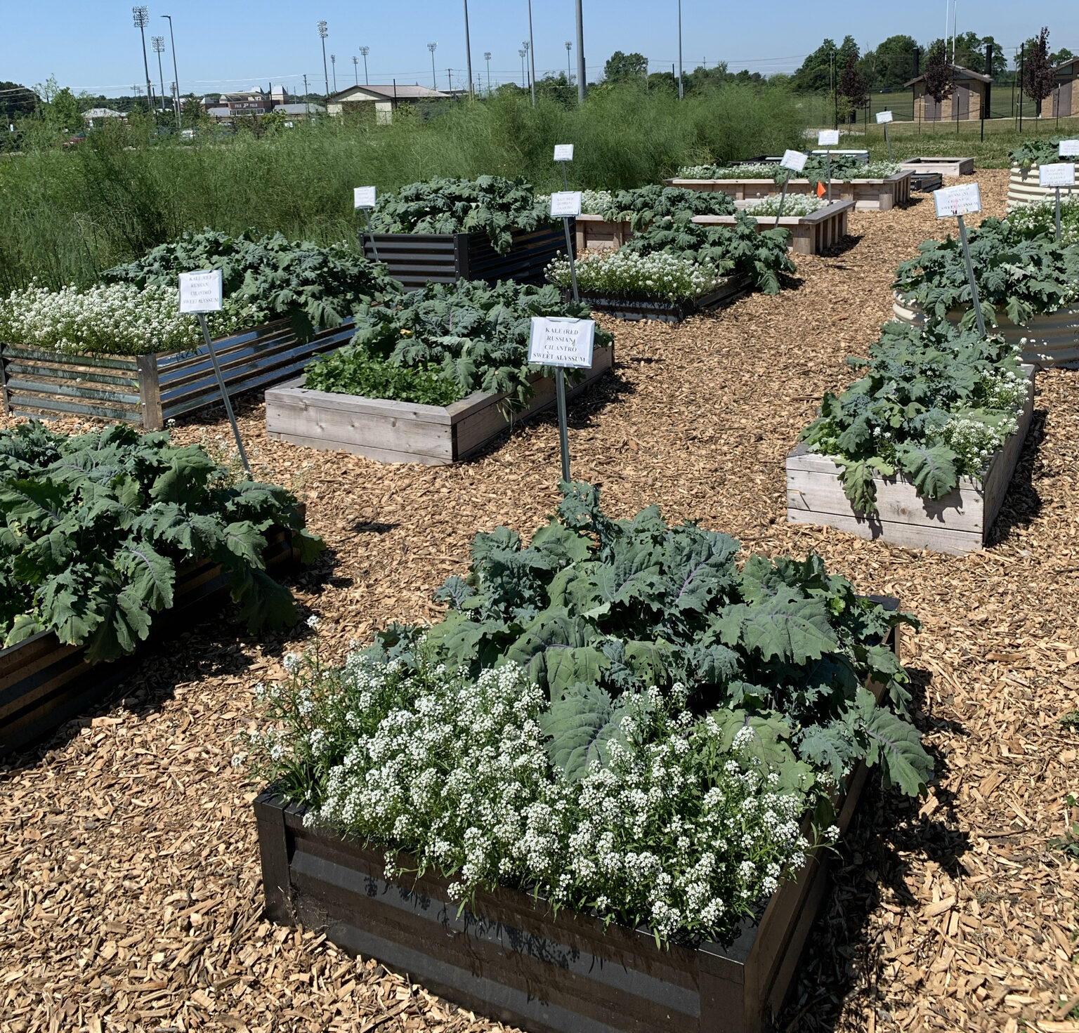 This Week On the Farm | Purdue University HLA Happenings