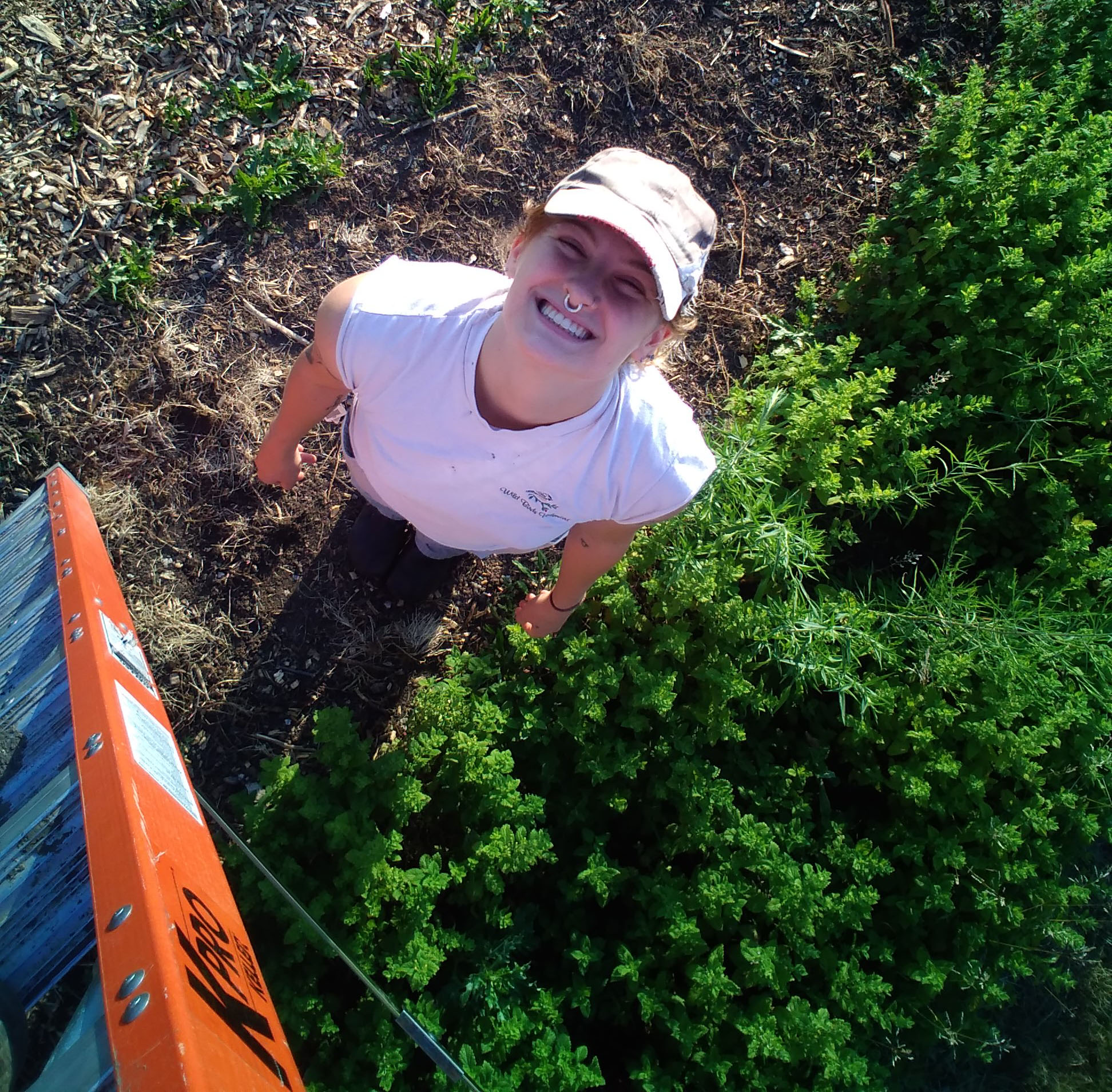 This Week at the Purdue Student Farm | Purdue University HLA Happenings