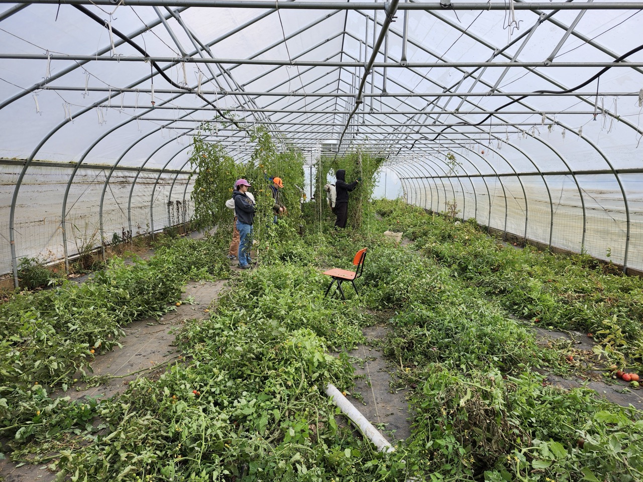 This Week at the Purdue Student Farm | Purdue University HLA Happenings