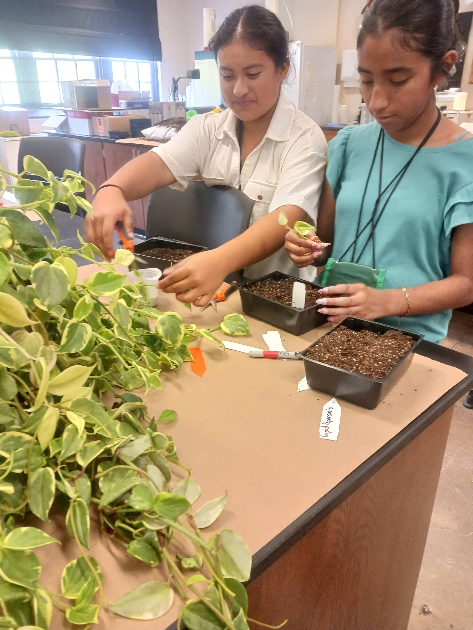 Juntos 4-H Students Explore HLA Careers and Plant Propagation at Purdue ...
