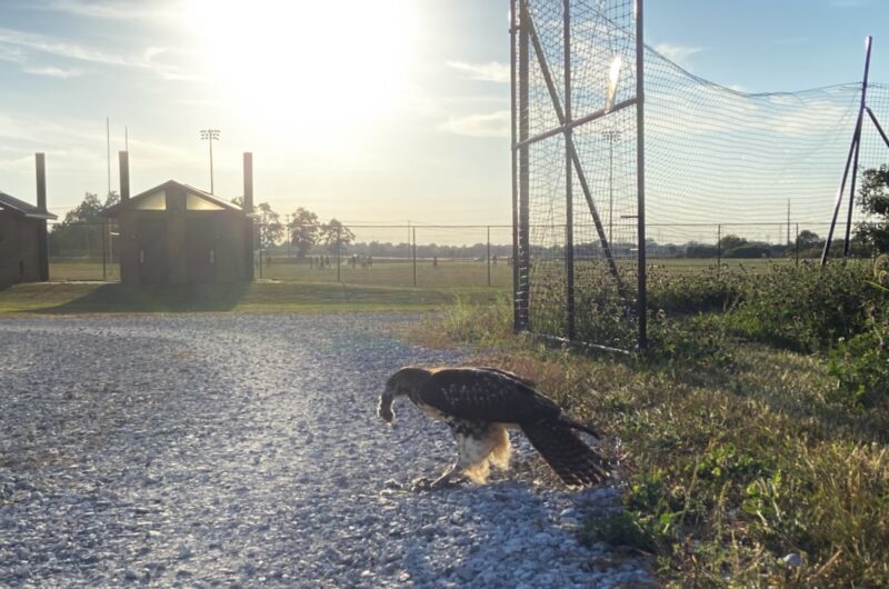 This Week at the Purdue Student Farm | Purdue University HLA Happenings