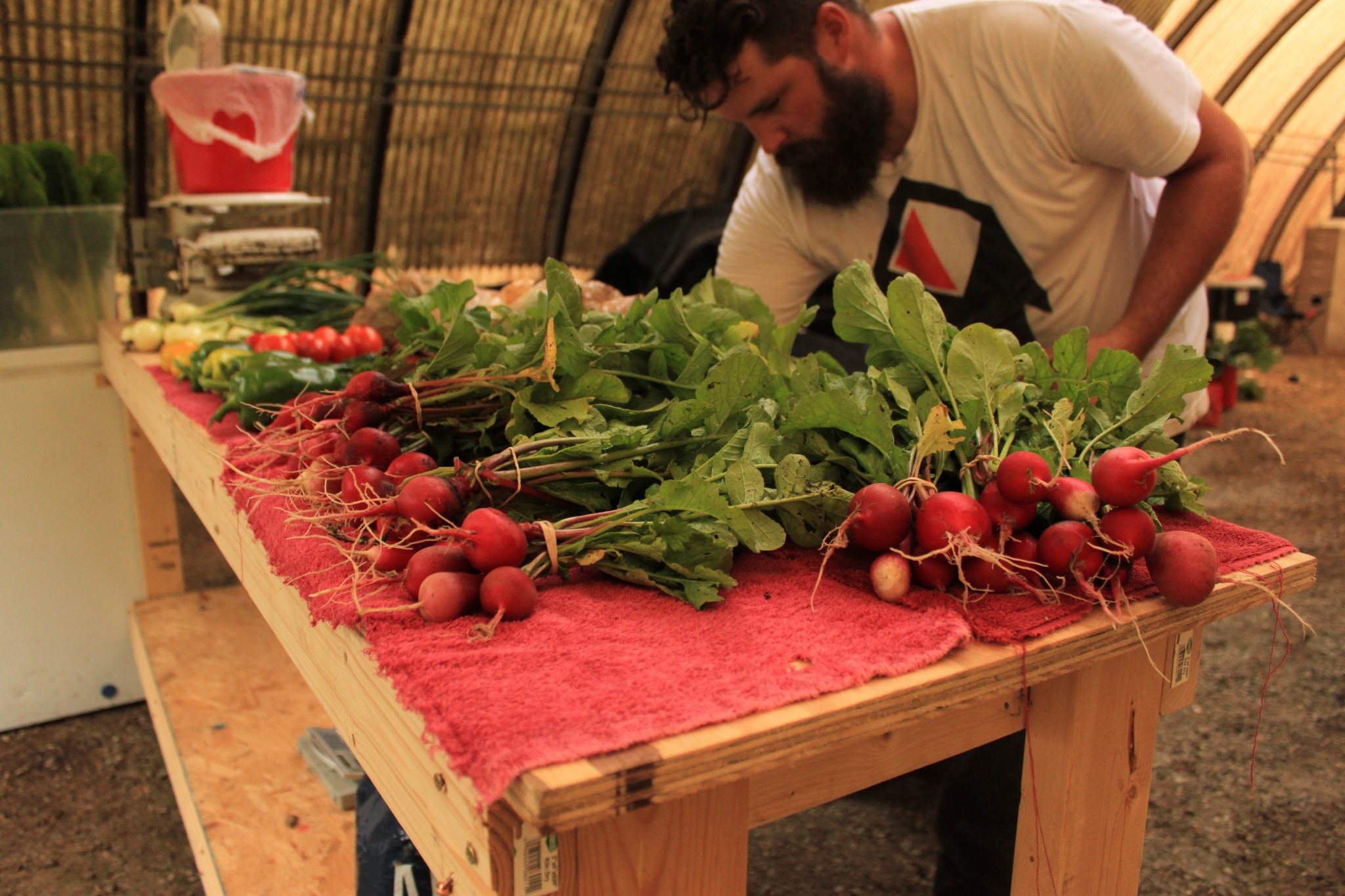 Horticulture Business - Purdue University