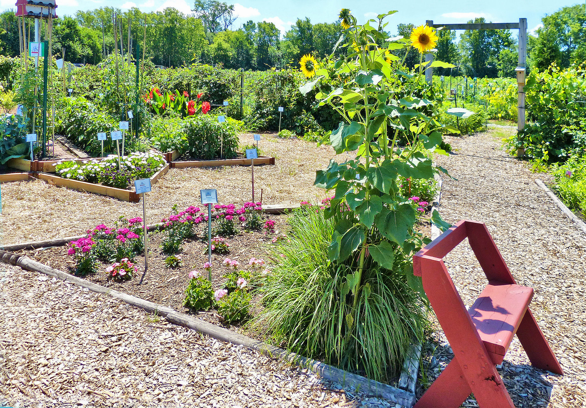 Master Gardeners of Tippecanoe County Win All-America Selections Award ...