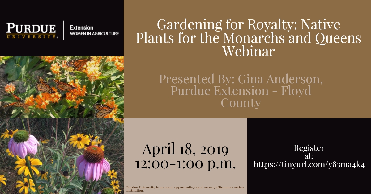 Webinar: Gardening for Royalty: Native Plants for the Monarchs and Queens | Purdue University ...