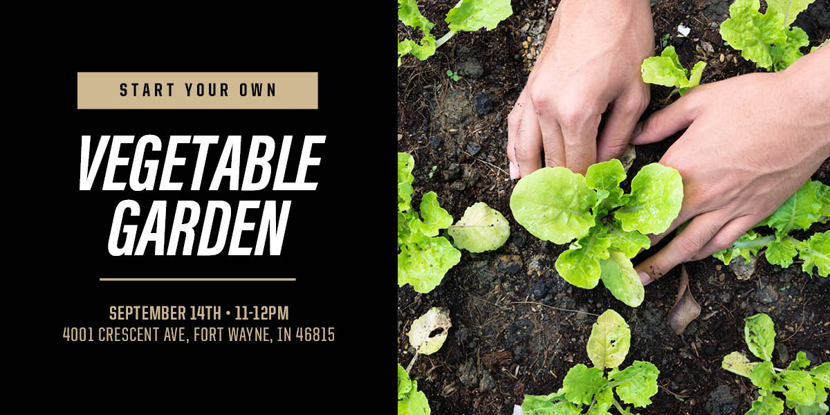 Start Your Own Vegetable Garden – Allen County | Purdue University ...
